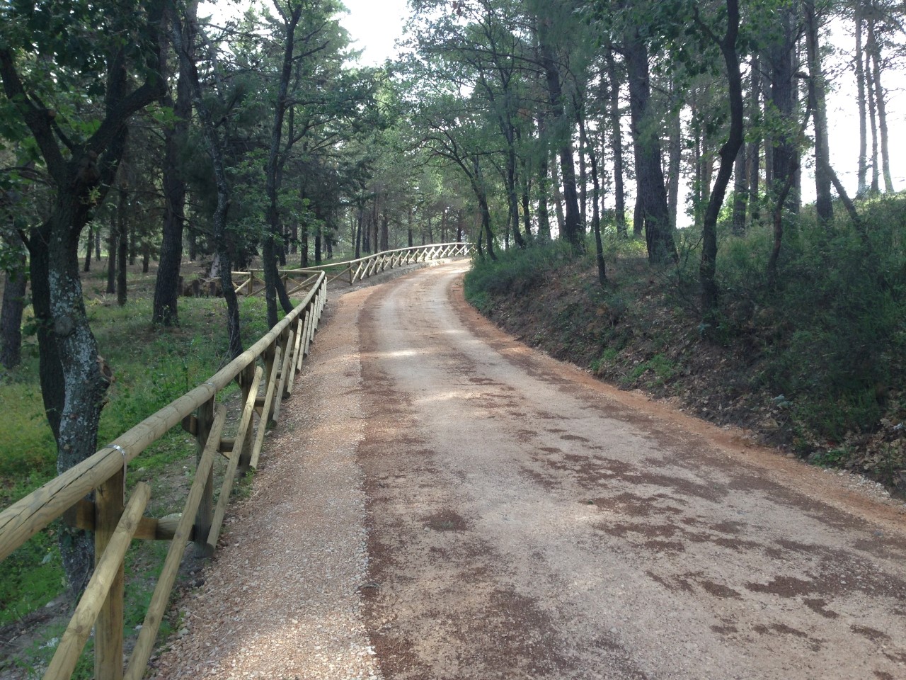 STRADE BOSCHIVE - Stabilsana